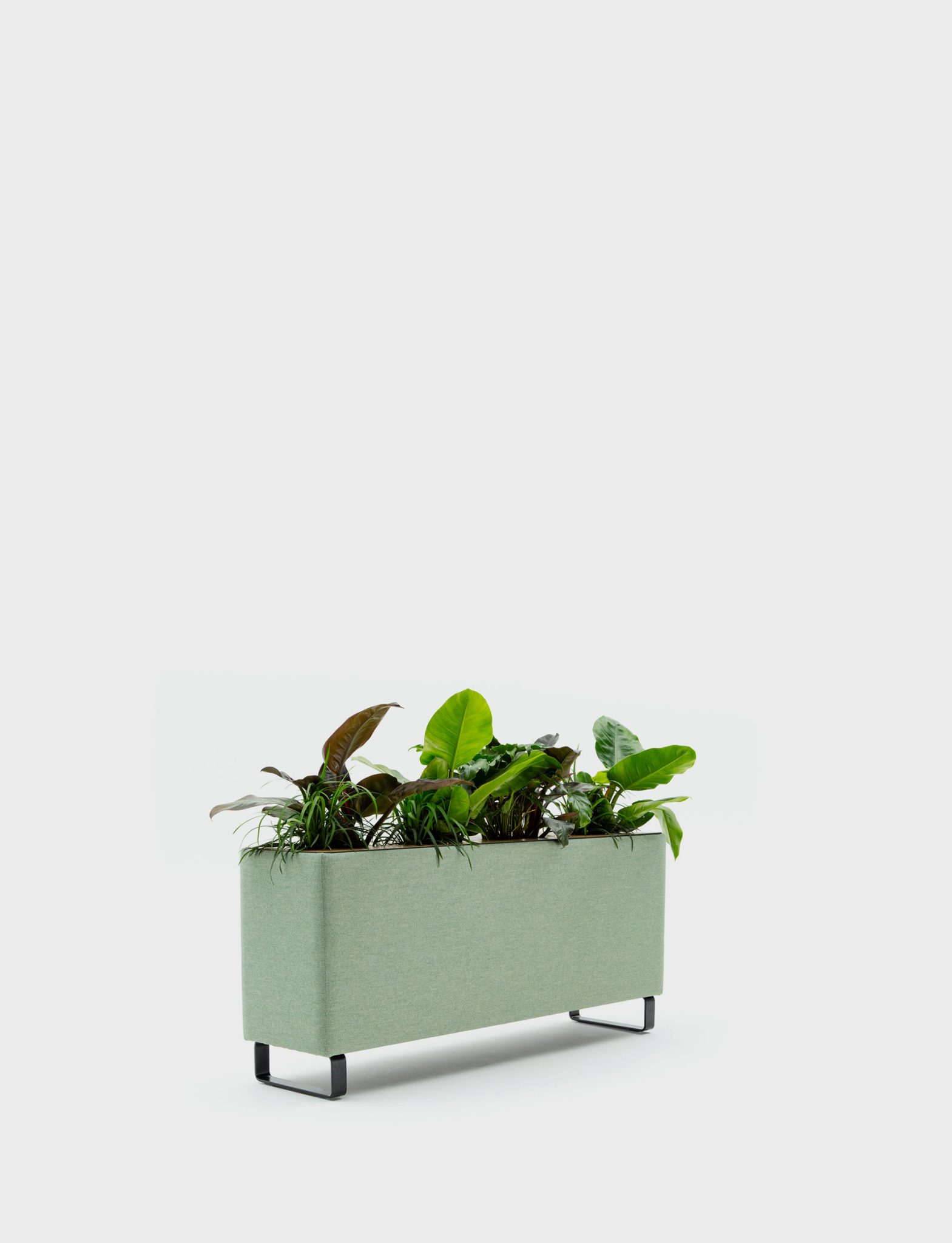 Products Archive - MARK Product : MARK Product